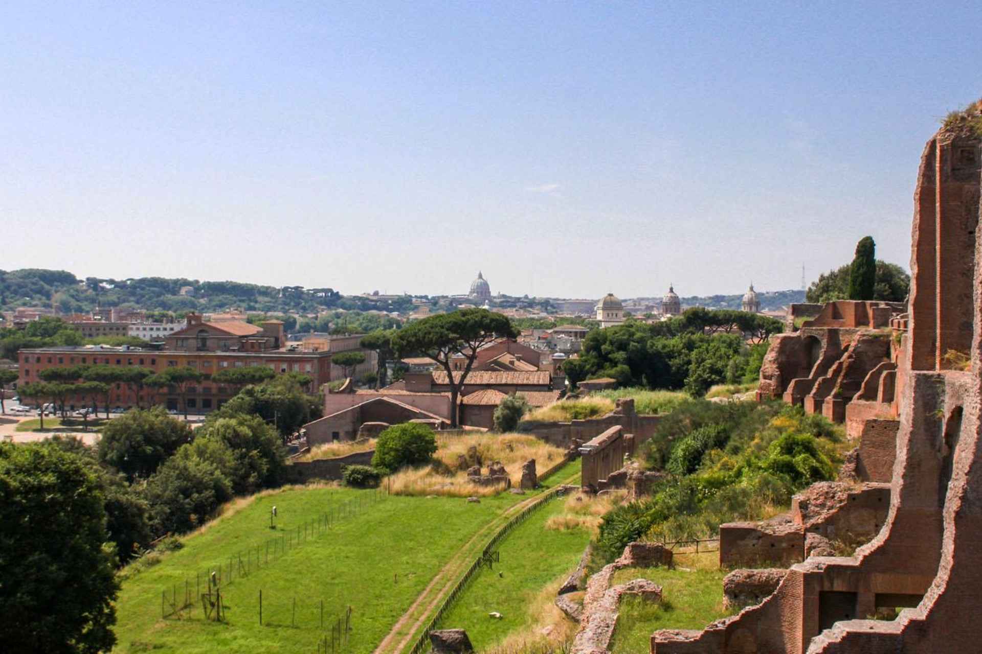 Roma: Colosseum Sitios y Ciudad del Vaticano Tour Privado de Día ...