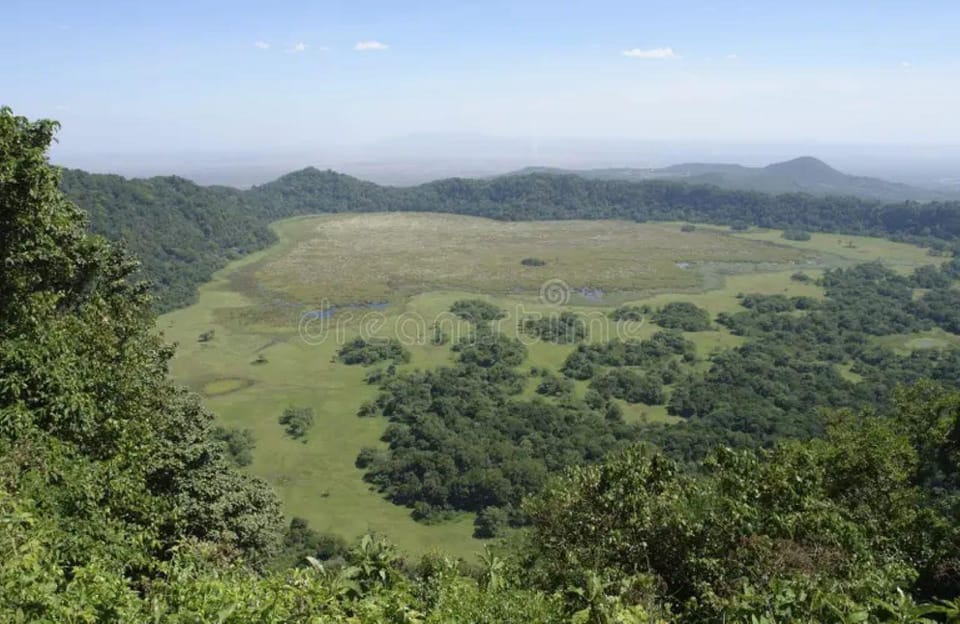 Arusha: Arusha National Park Day Tour | GetYourGuide