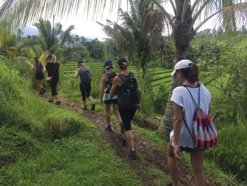 Bali: Hill Side Lemukih Treeking with Amazing view | GetYourGuide