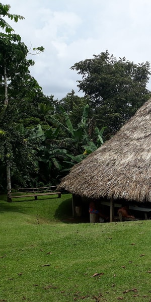Embera indigenous Village visit | GetYourGuide