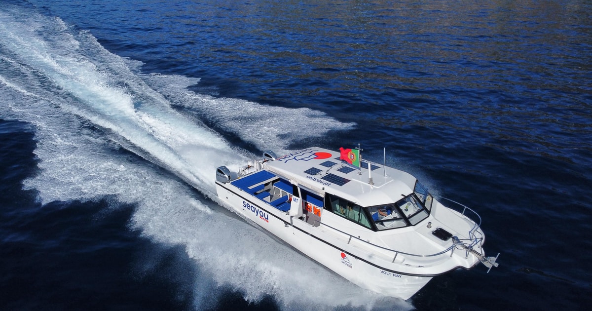 Madeira: Privat kryssning till Calheta, Caniçal | GetYourGuide