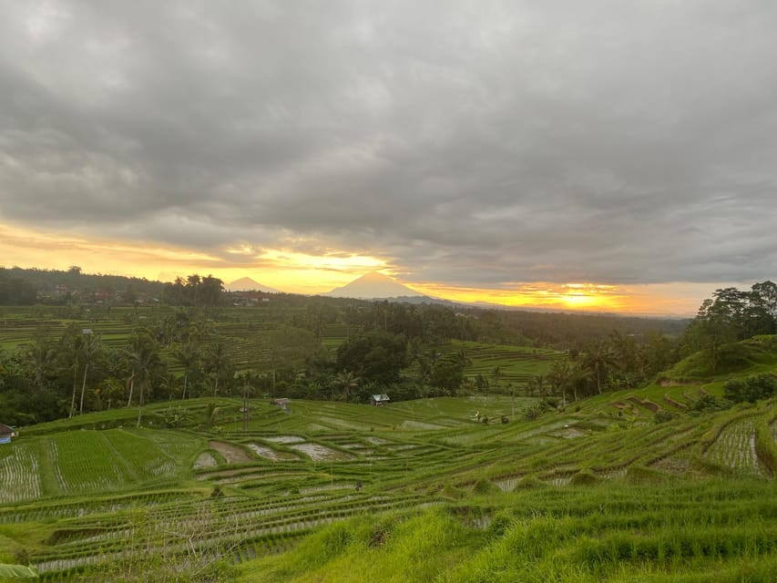 Explore rice terraces munduk & waterfall trekking experience | GetYourGuide