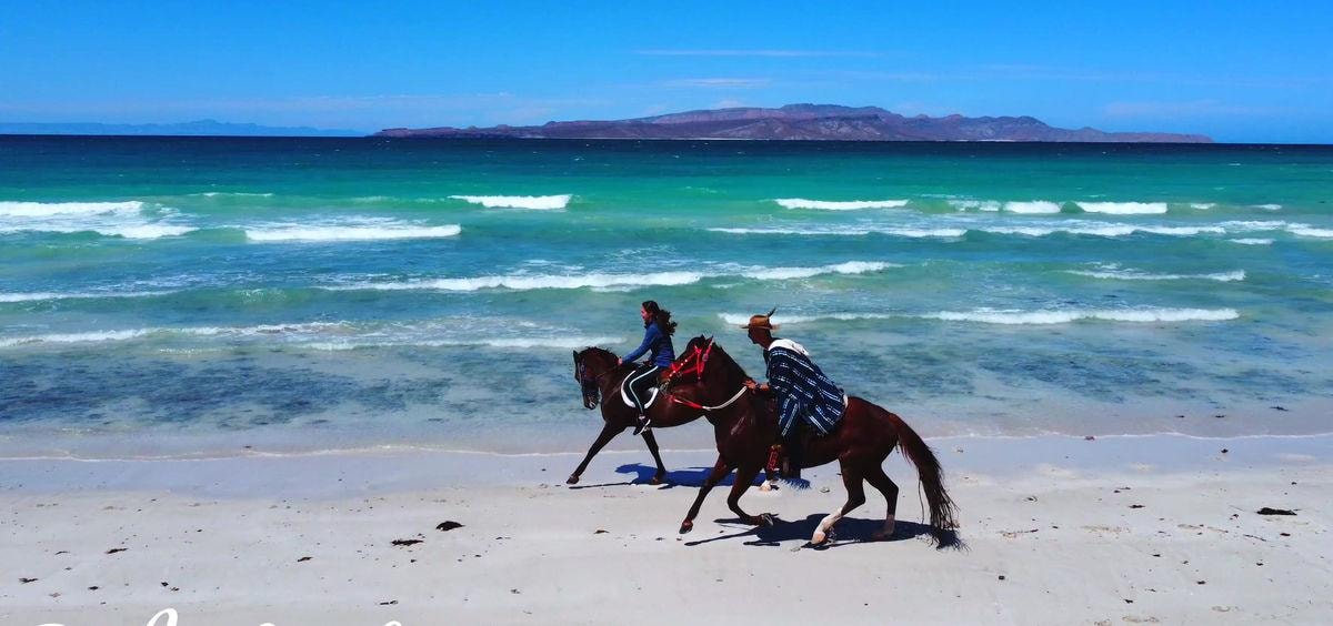 La Paz: Experiencias a caballo | GetYourGuide