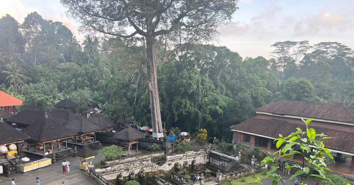 Ubud : Best of Ubud Waterfalls, Rice Terrace & Water Temple | GetYourGuide