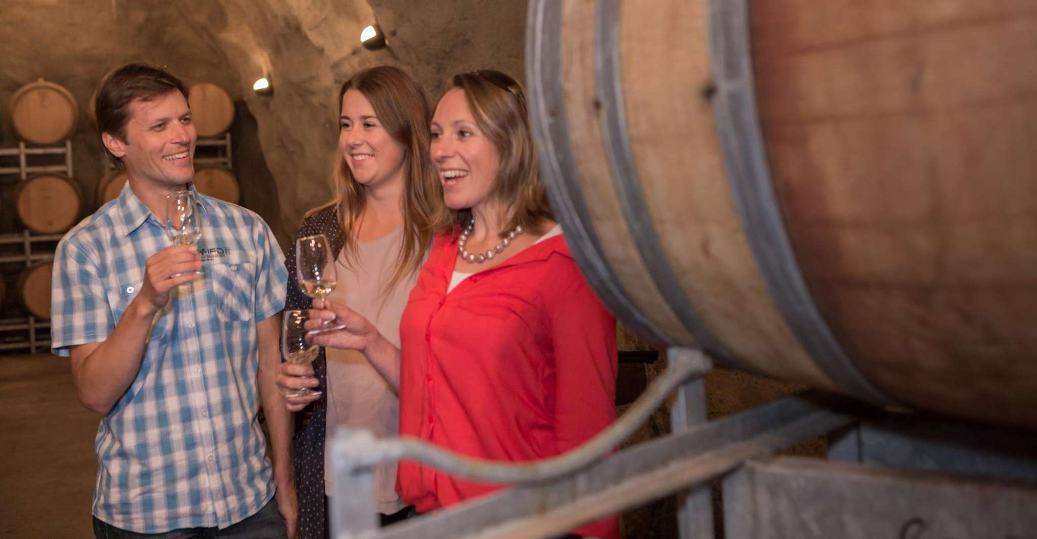 Da Queenstown, 3 Winery Tour con Gourmet Wine & Lunch | Visita guidata ...