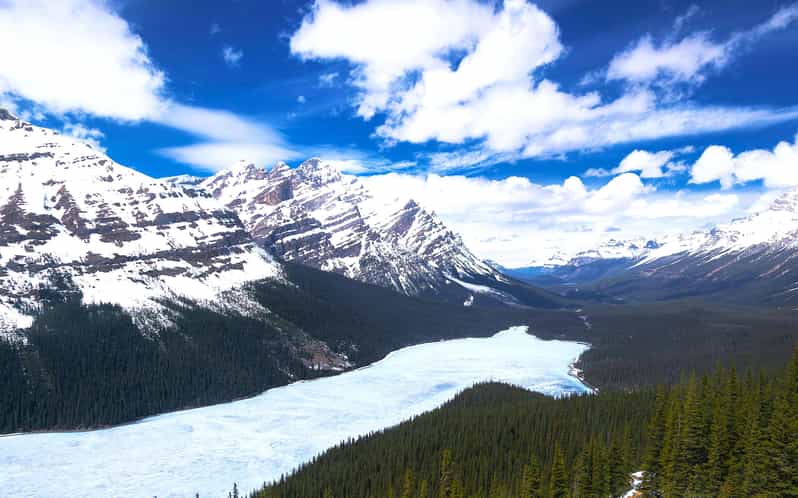 Promenade des Glaciers, lac Bow, lac Peyto et canyon Johnston ...