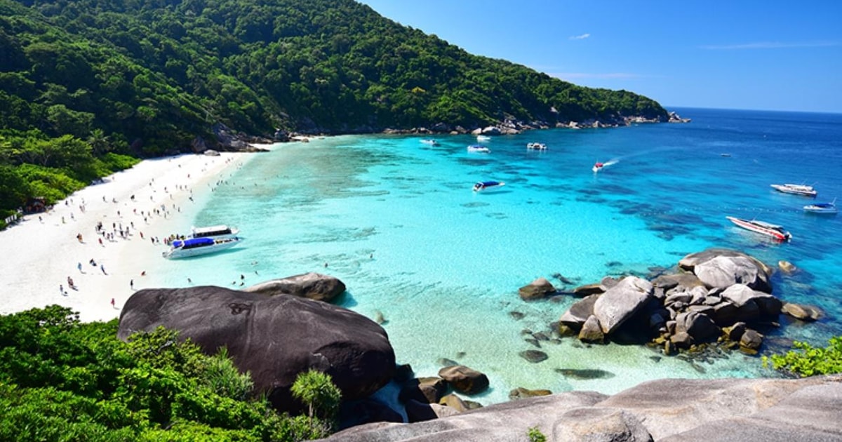 Von Khao Lak & Phuket aus: Similan-Inseln Schnorchel-Tagestour | GetYourGuide