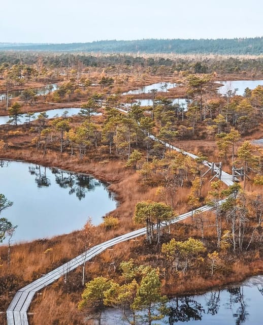 Kemeri National Park Guided Tour | GetYourGuide