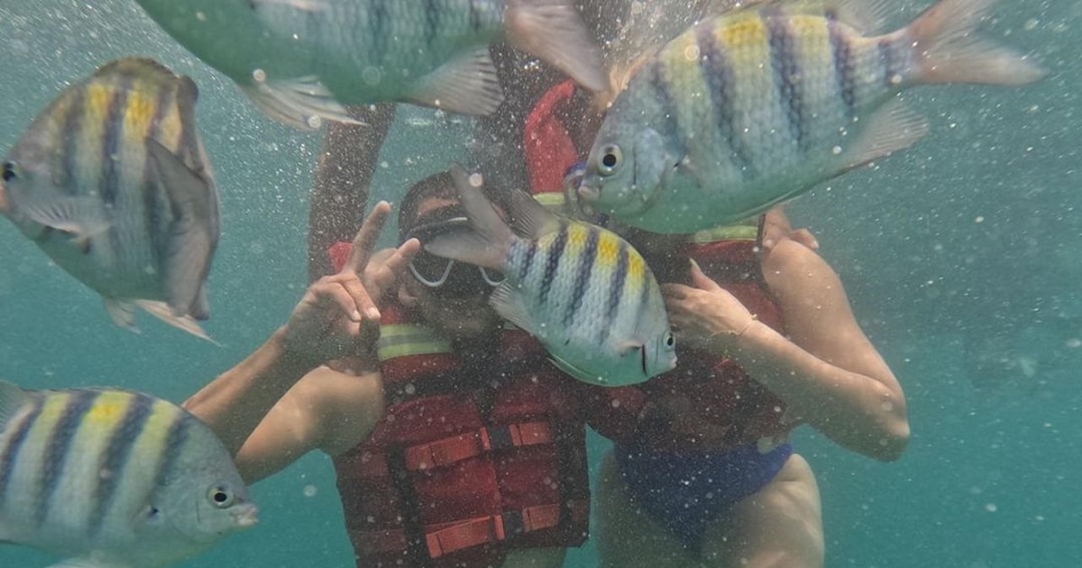 Cartagena: BARÚ Playa blanca with SNORKELING INCLUDED | GetYourGuide