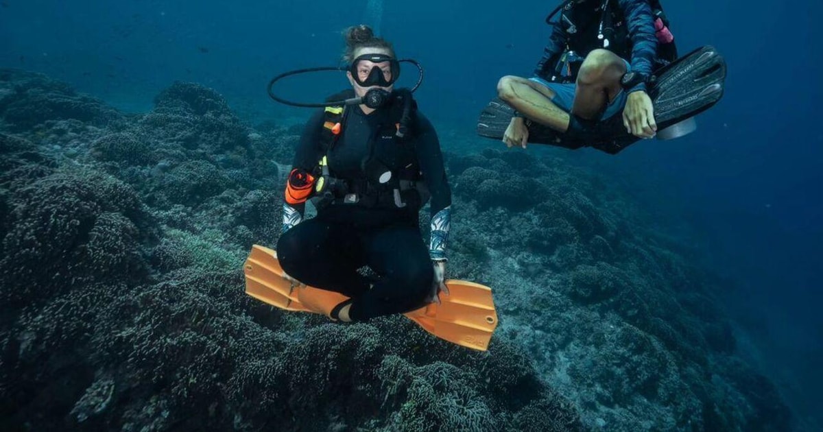 Side: Scuba Diving Tour with Two Dives | GetYourGuide