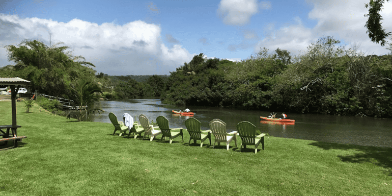 North Shore's best day! River, Turtles, Farm with Lunch | GetYourGuide