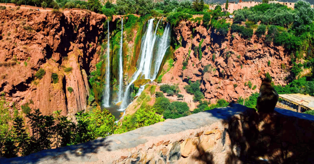 From Marrakech: Ouzoud Waterfall Local guide & Boat Ride | GetYourGuide