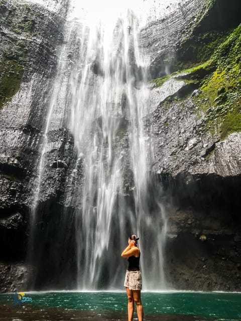 Yogyakarta - Bromo - Ijen (Blue fire) - Ketapang Port | GetYourGuide