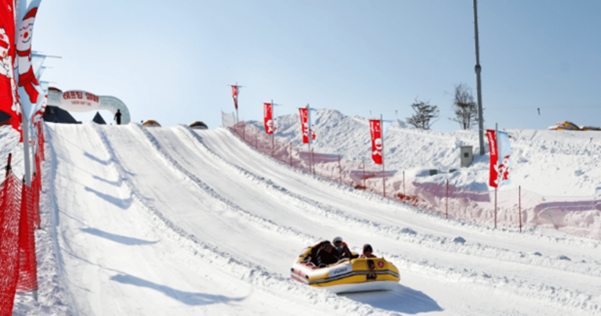 Seoul: Vivaldi Park Snowy Land Entry and Shuttle | GetYourGuide