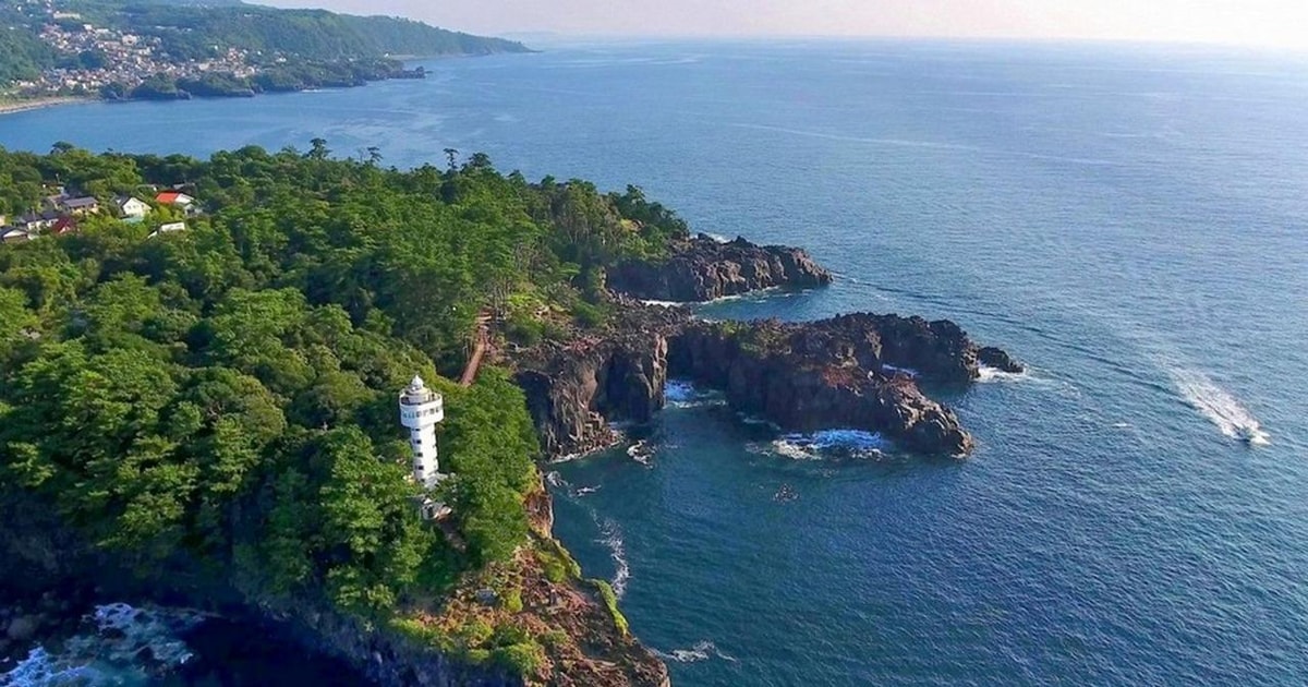 Izu Peninsula: Jogasaki Coast Experience | GetYourGuide