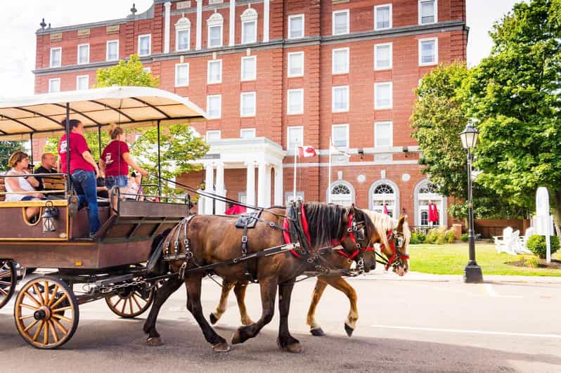 Prince Edward Island: Horse-Drawn Carriage Tour | GetYourGuide