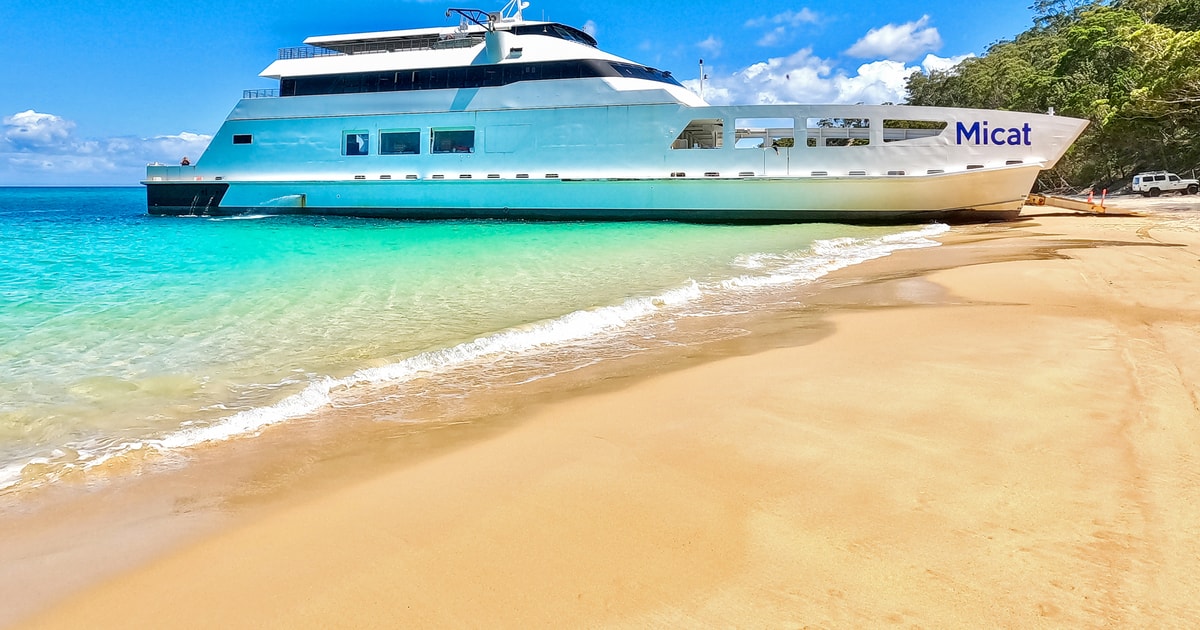 Da Brisbane: escursione di una giornata a Moreton Island | GetYourGuide