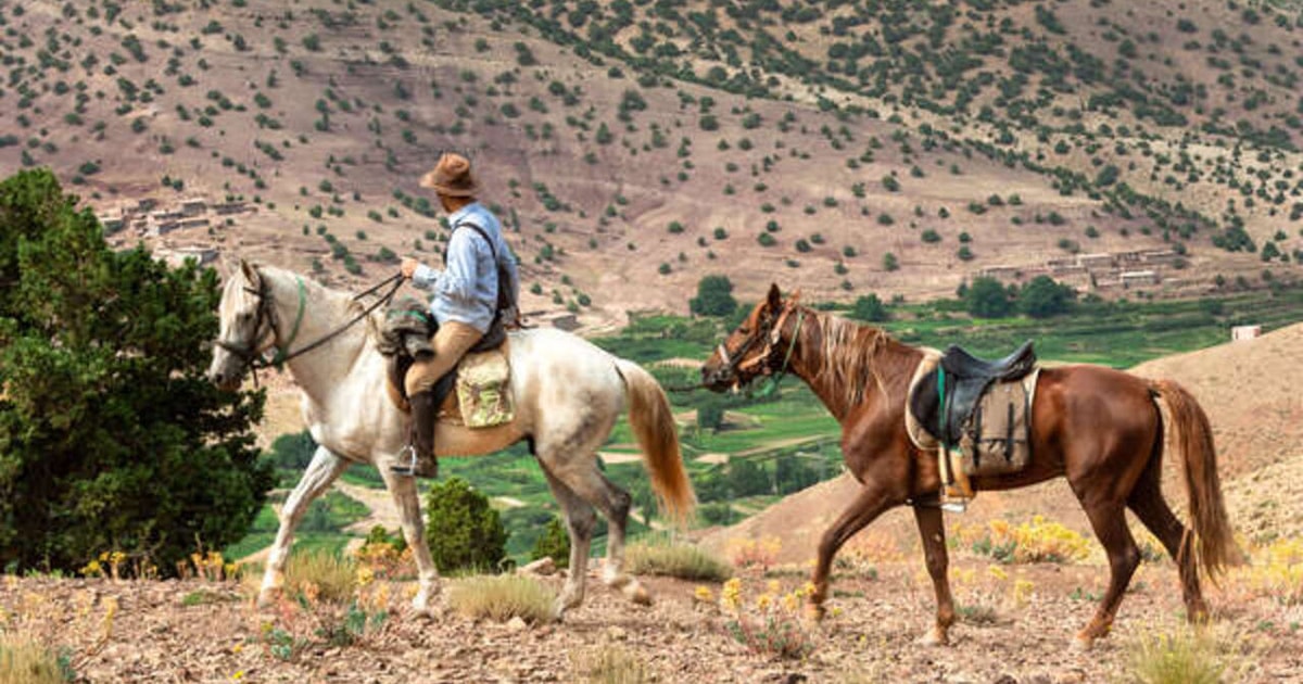 Horseback Riding in the High Atlas Mountains with overnight | GetYourGuide