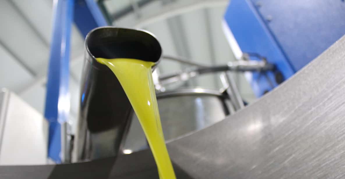 Guided tour and oil tasting at the Aceites Molisur factory | GetYourGuide