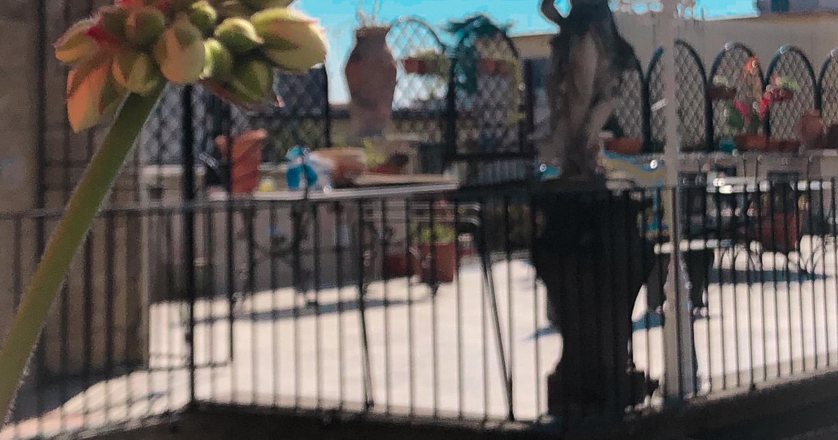 Tour of palazzo Capece and aperitivo | GetYourGuide