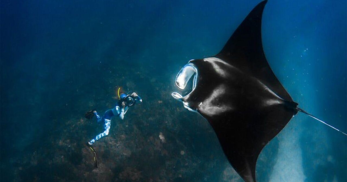 Manta Point Trip cu unele dintre cele mai multe alte site-uri ...