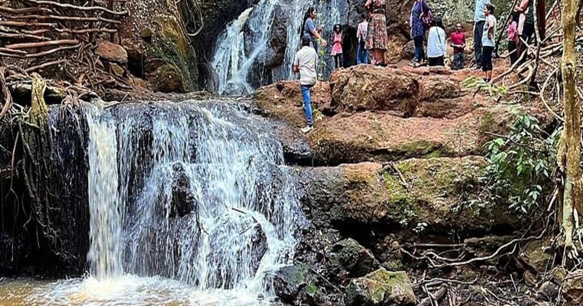 Nairobi: Hidden Waterfalls Hike & Forest Picnic in Karura | GetYourGuide