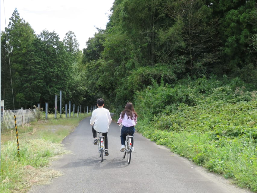 From Kyoto: Private Customized Bike Tour to Ninja hometown | GetYourGuide
