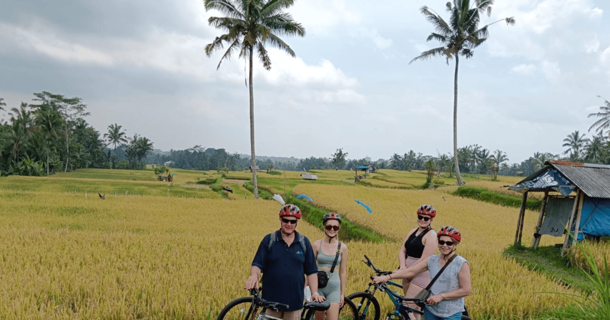Bali: Ubud Downhill Cycling Tour With Transfer All-Inclusive | GetYourGuide