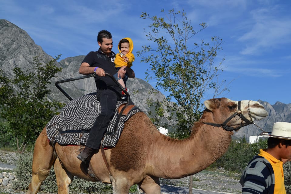 Monterrey: Zoological Adventure at Xenpal | GetYourGuide