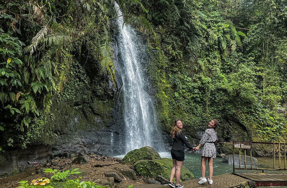 Ubud: Waterfall Customized Privat Tour, All Included | GetYourGuide