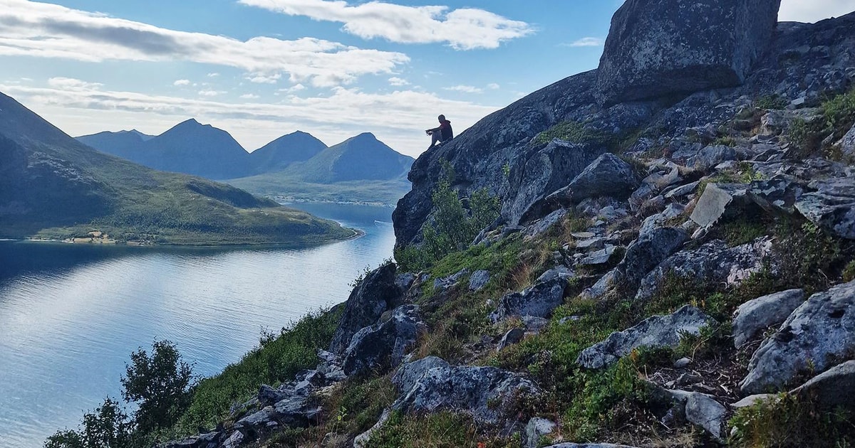 Tromsø: Midnight Sun Adventure with Lunch and Photos | GetYourGuide