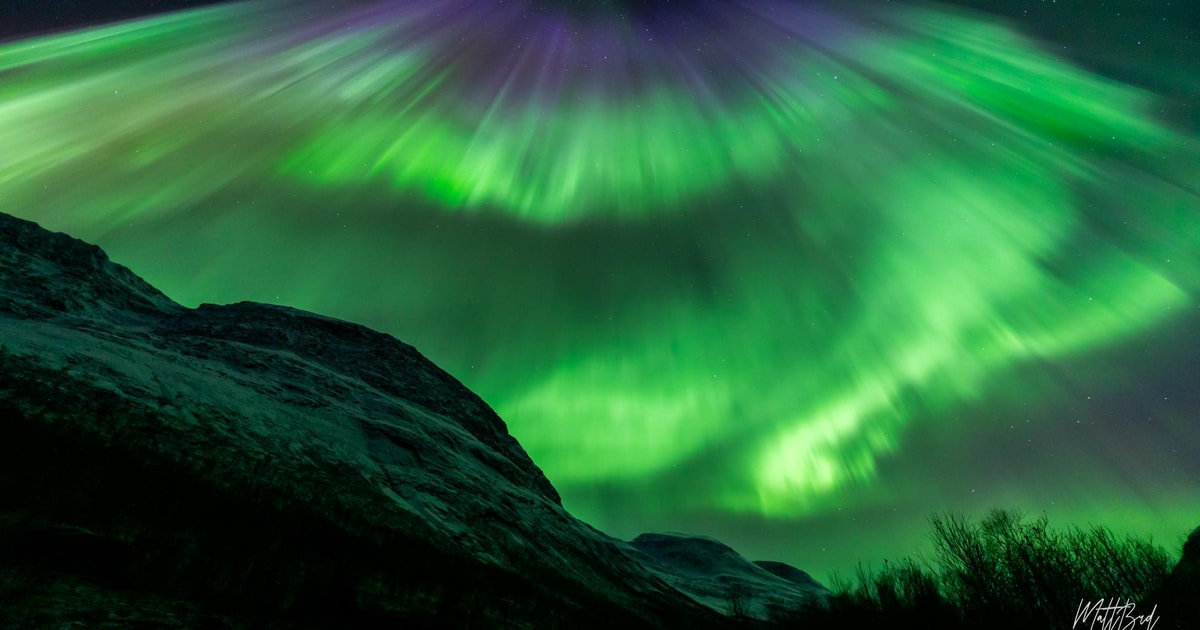 Tromsø: Northern Lights Guided Bus Tour with Snacks Hotdrink | GetYourGuide