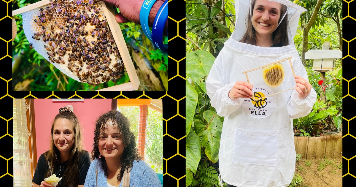 Ella: Bee Farm Tour With Honey Tasting Experience | GetYourGuide