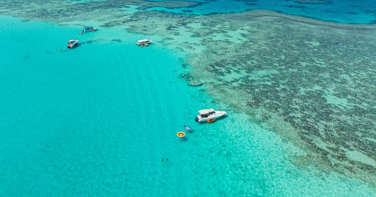 ジェッダからバヤダ島へのプライベート・シー・トリップ | GetYourGuide