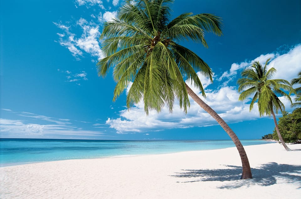 Excursión a las Estrellas de Mar, Laguna Azul, La Roca, Playa de Paje ...