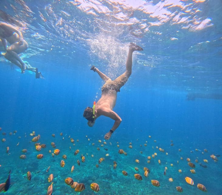 Nusa Penida: Snorkelling Tour at Manta, Gamat & Crystal Bay | GetYourGuide