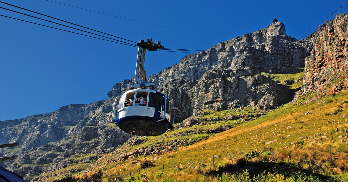 Table Mountain, Boulders Penguins & Cape Point Privat rundtur ...