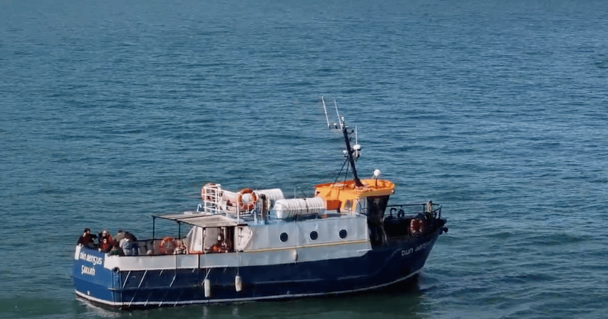 Dublin: Howth Cliffs and Lighthouse Boat Tour | GetYourGuide