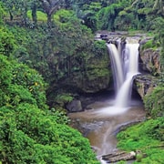 Ubud: All inclusive Tegallalang, Waterfall and Tirta Empul | GetYourGuide