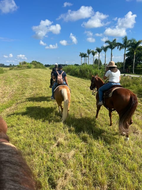 Miami: Horseback riding | GetYourGuide