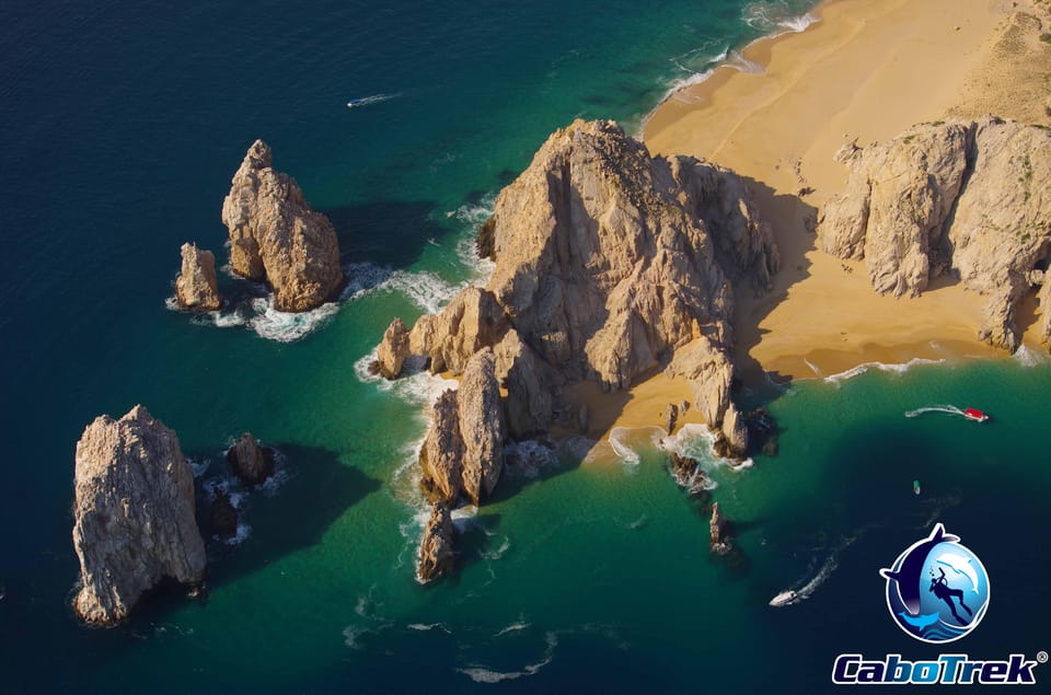 Private Cabo Ocean SAFARI | GetYourGuide