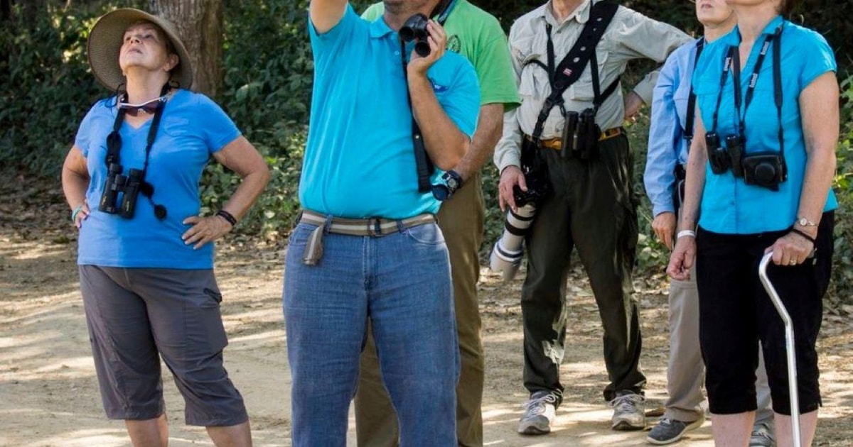 Puerto Vallarta: Tour at El Tuito and Rancho Primavera | GetYourGuide