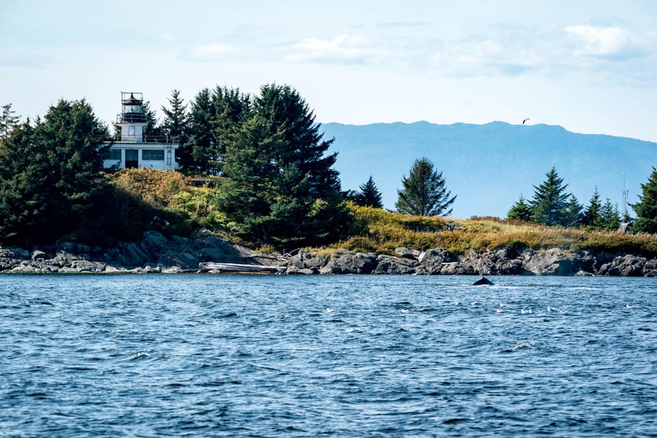 Lighthouse, Totems & Eagles Excursion | GetYourGuide