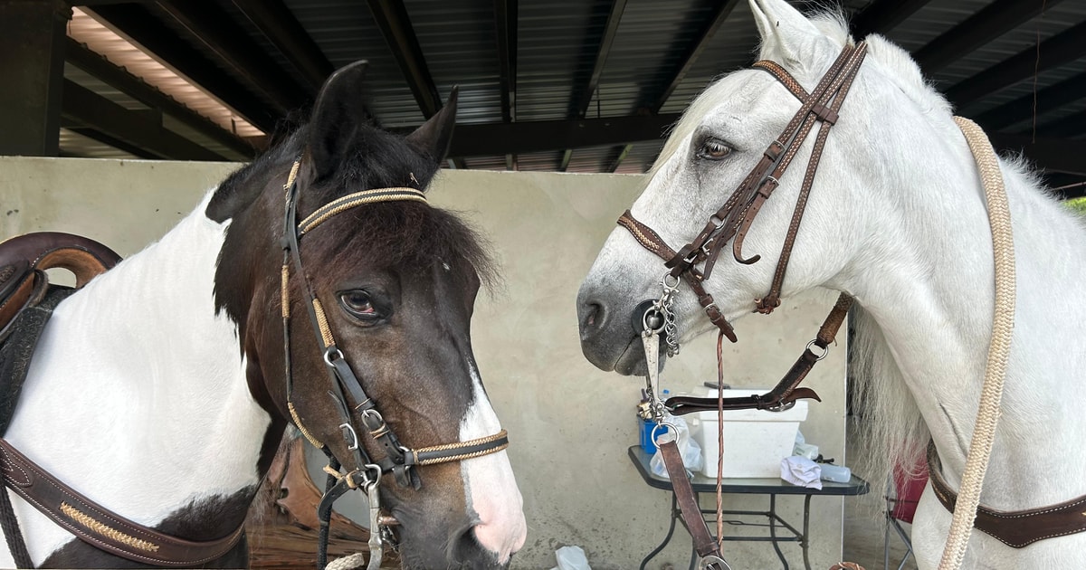 NanichiConcierge: Nanichi: Retket kauniilla näköaloilla, patikointi ...