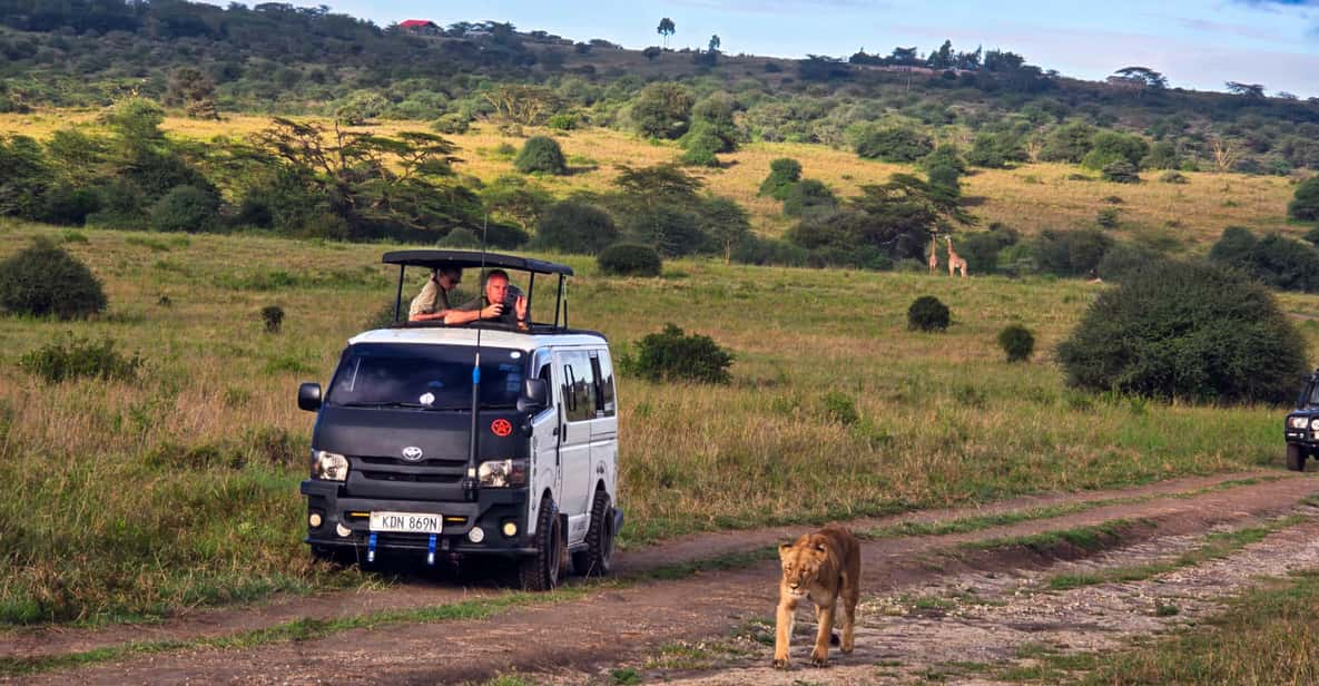 5 Hours Nairobi National Park Game Drive Tour 4x4 Vehicle | GetYourGuide