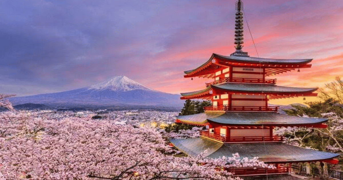 Alpha Japan with Mt.Fuji | GetYourGuide