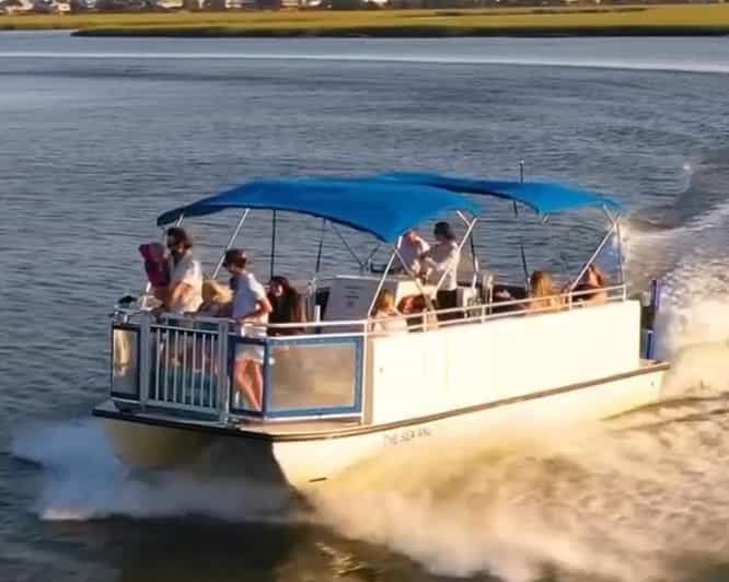 Folly Beach: Morning Dolphin Boat Trip to Morris Island | GetYourGuide