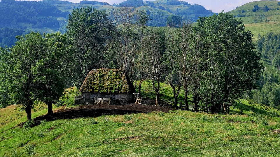 From Cluj-Napoca: Apuseni Mountains Hiking Guided Day Tour | GetYourGuide