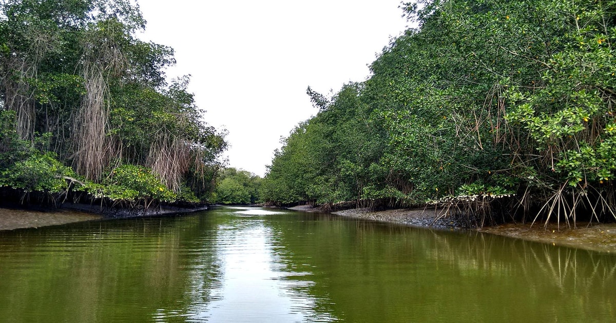 Tumbes: Puerto Pizarro islands and mangroves | GetYourGuide
