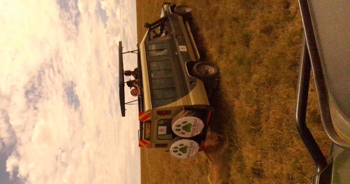 3 Days Maasai Mara Group Safari using a 4x4 Landcruiser | GetYourGuide